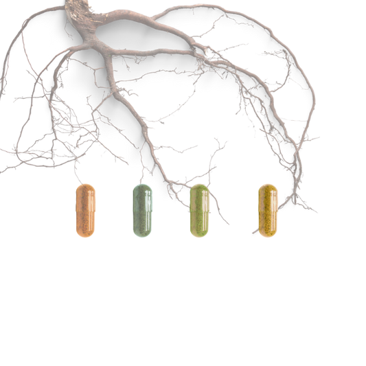 Raices Zen Suplementos Alimenticios